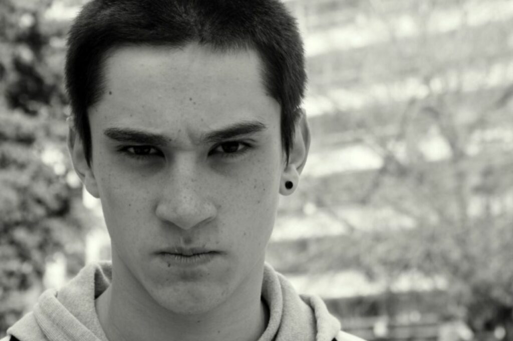 Las Cebras Salen | Educación y Altas Capacidades ️ [2025 ]