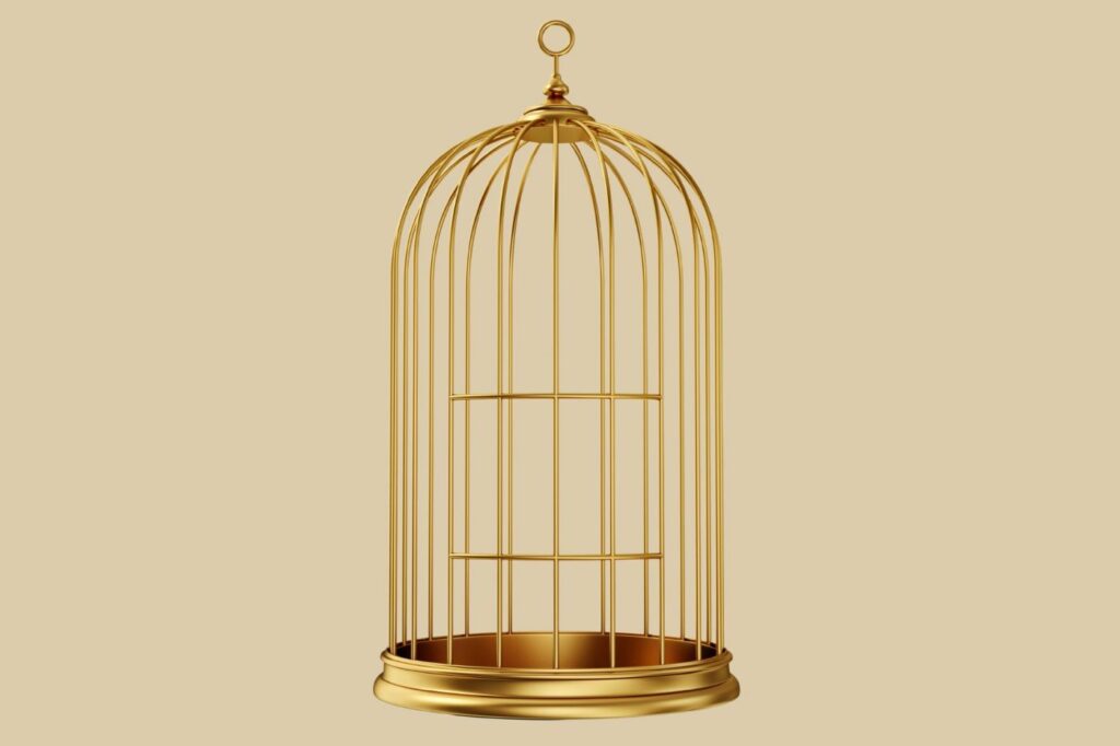 'La jaula dorada' | Las Cebras Salen