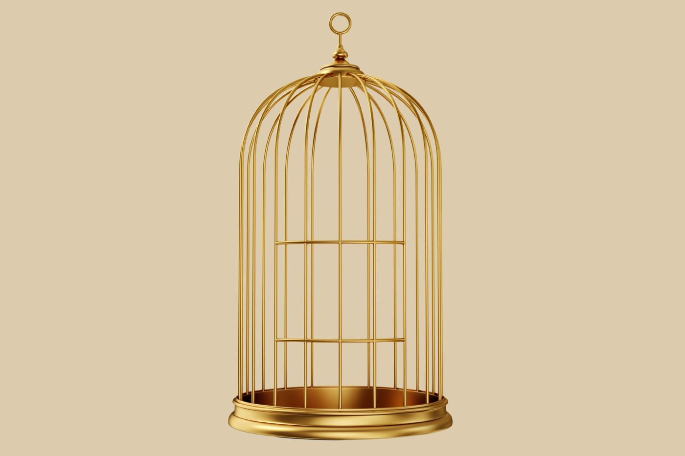 'La jaula dorada' | Las Cebras Salen